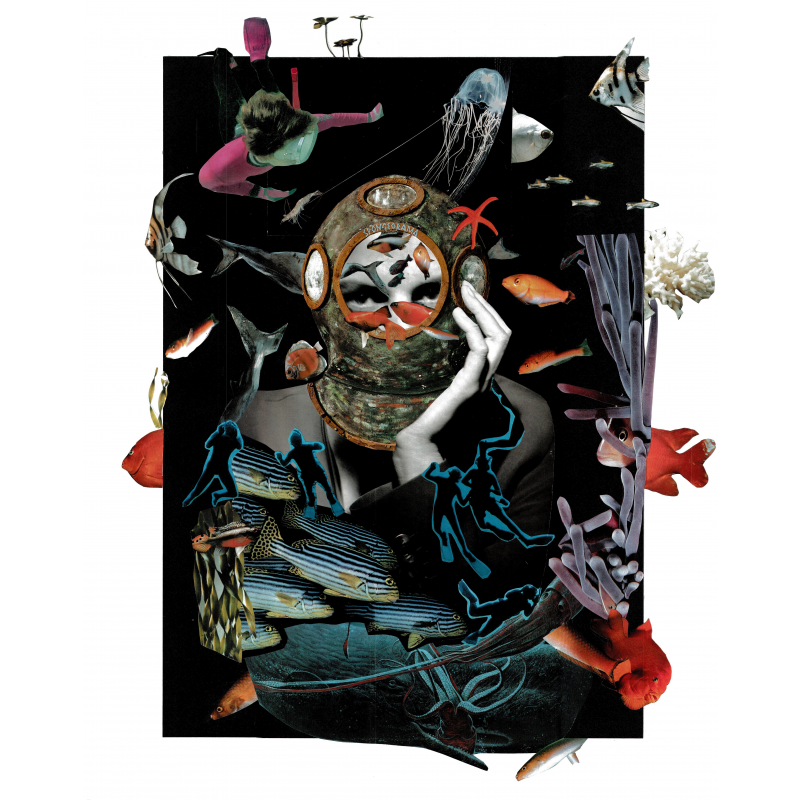 Immersion totale - raxxa