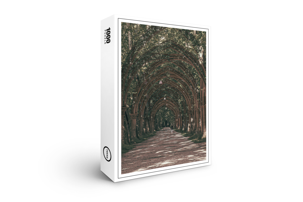 raxxa Premium-Puzzle: Die Säulen der Erde - raxxa