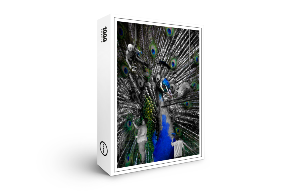 raxxa Premium-Puzzle: Mal dir die Welt bunt - raxxa