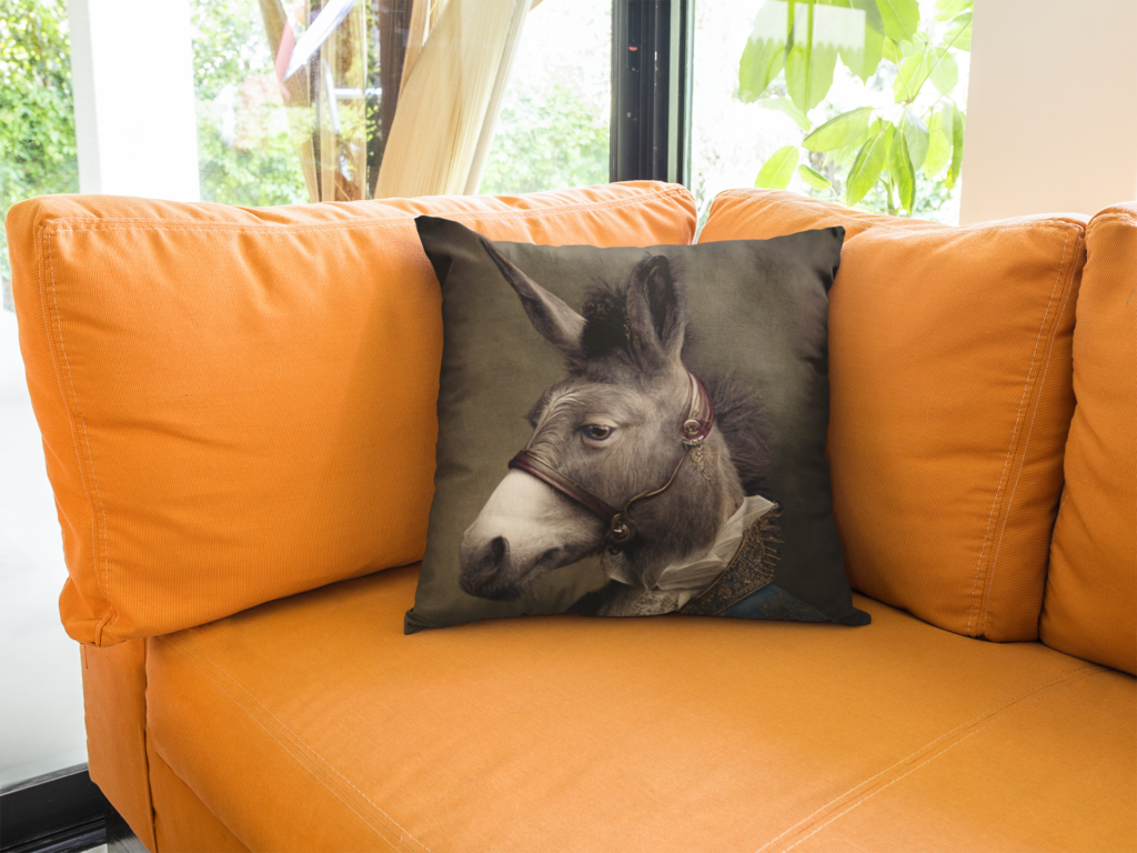 Pillow Boldwin The Frugal Raxxa