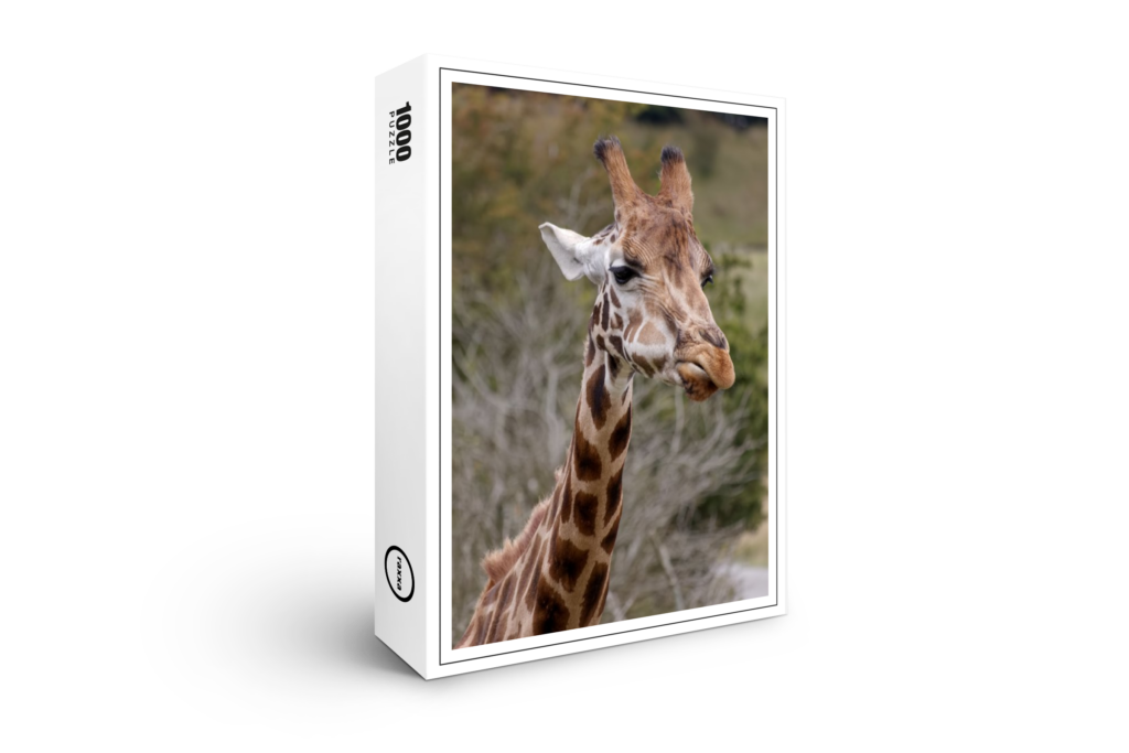 raxxa Premium-Puzzle: Giraffe - raxxa