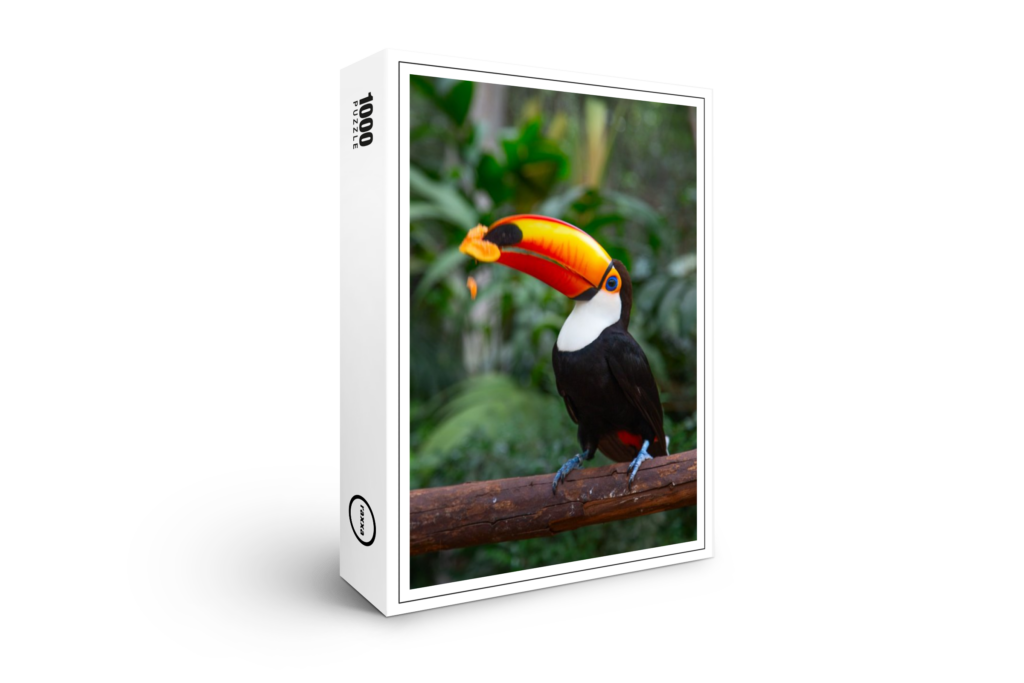 raxxa Premium-Puzzle: Tucan - raxxa