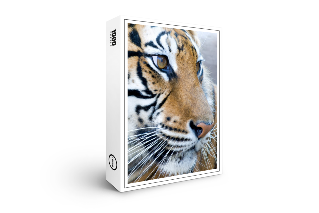 raxxa Premium-Puzzle: Tiger - raxxa