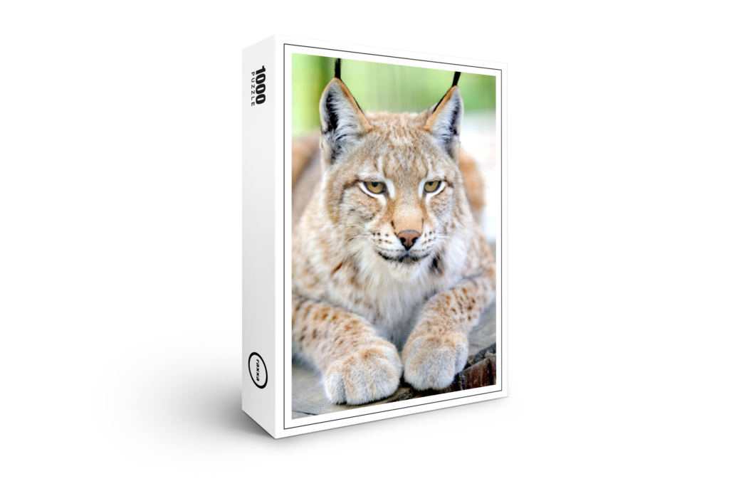 raxxa Premium-Puzzle: Luchs-Porträt - raxxa