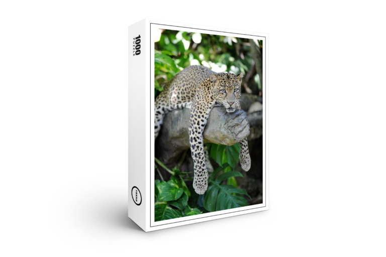 raxxa Premium-Puzzle: Leopard - raxxa
