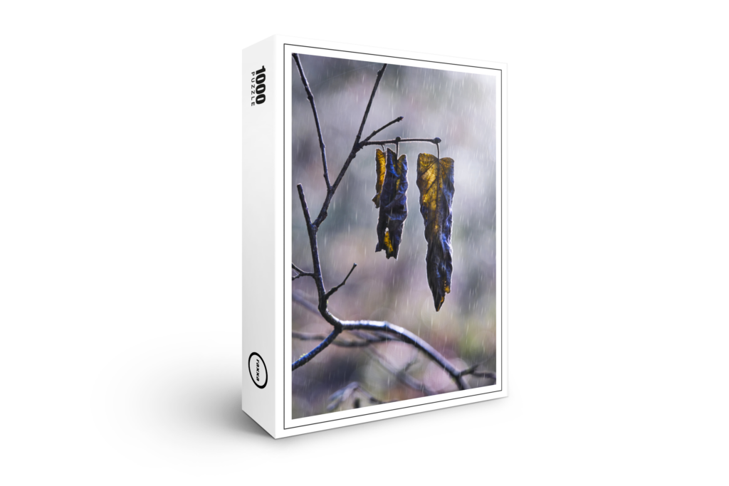 raxxa Premium-Puzzle: Stay together - raxxa