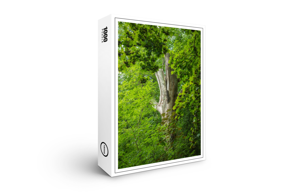 raxxa Premium-Puzzle: Alt und Neu - raxxa